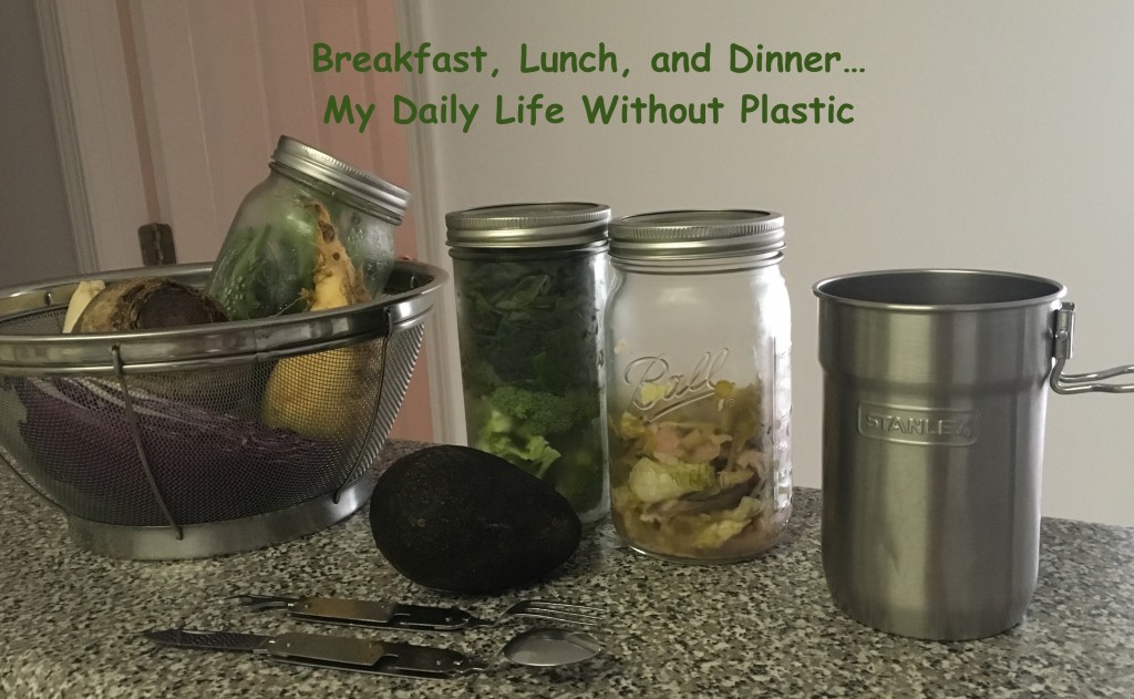 Earth Day Plastic-Free Challenge - Blog
