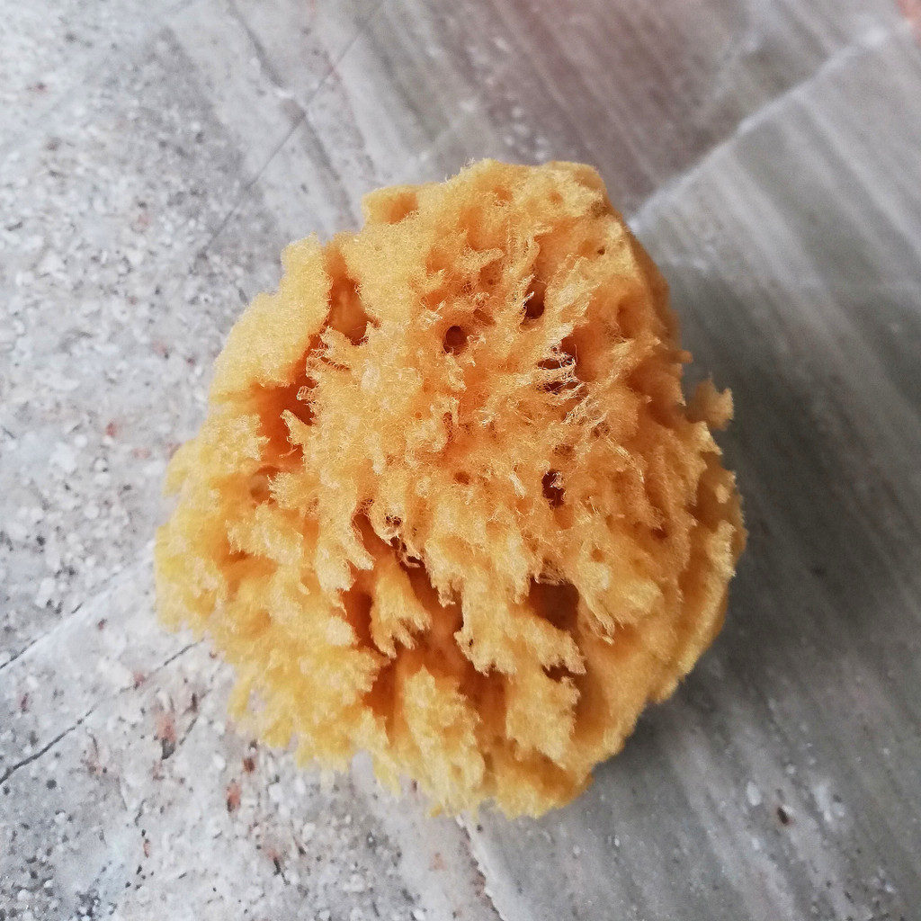 Scrub-a-dub-dub, natural sea sponge in the tub - Blog
